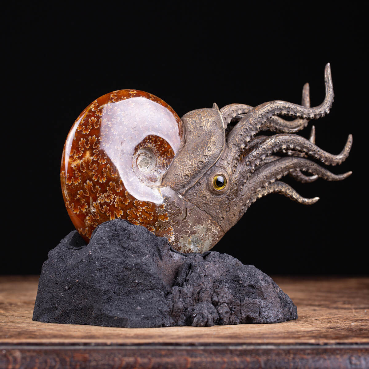 Sculpture d'ammonite avec détails en laiton